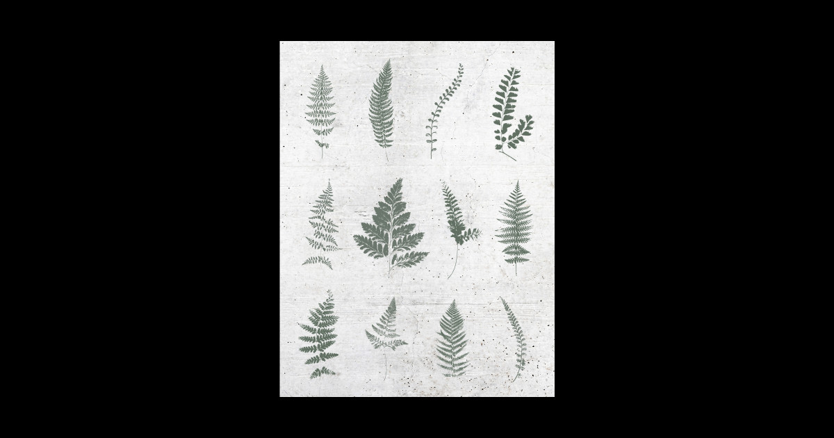 Fern Collage - Fern - Sticker | TeePublic