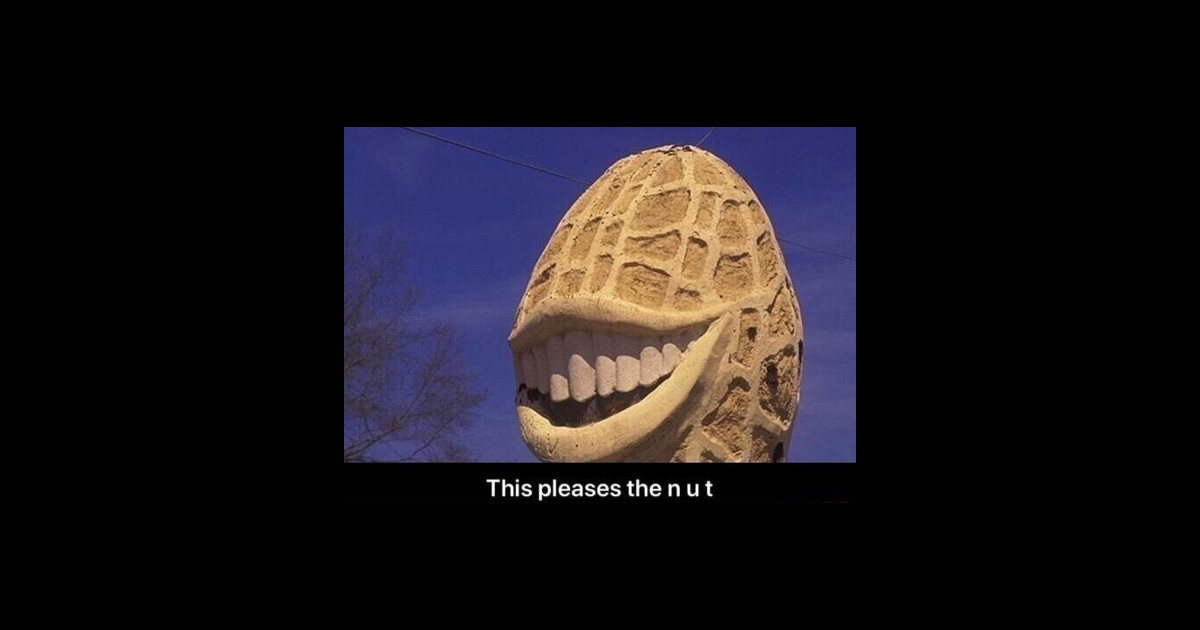 This Pleases The Nut - Memes - Sticker | TeePublic