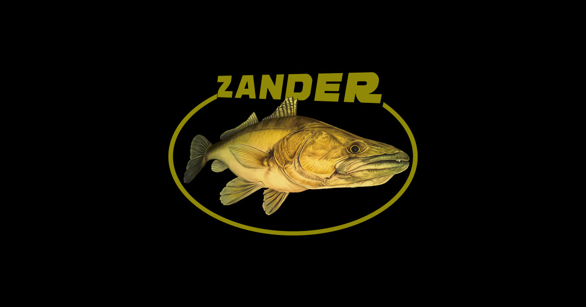 ZANDER FISH - Zander - Sticker | TeePublic