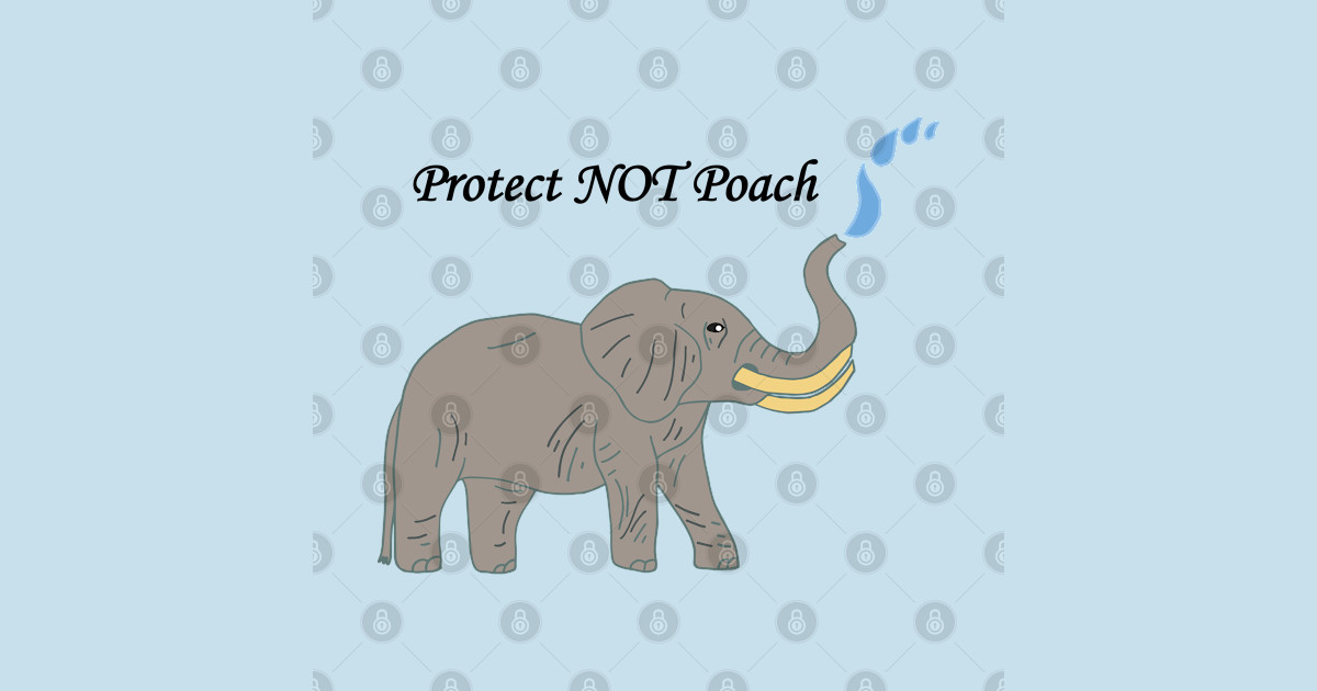 Protect not poach elephant art - Protect Not Poach - T-Shirt | TeePublic