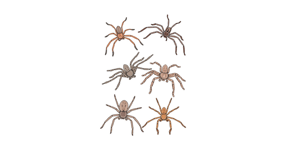 Huntsman Spider Pattern - Huntsman - T-Shirt | TeePublic