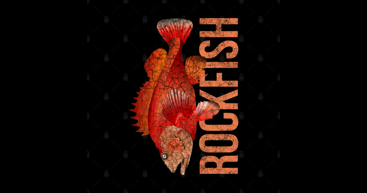 Rockfish - Fishing - Sticker | TeePublic