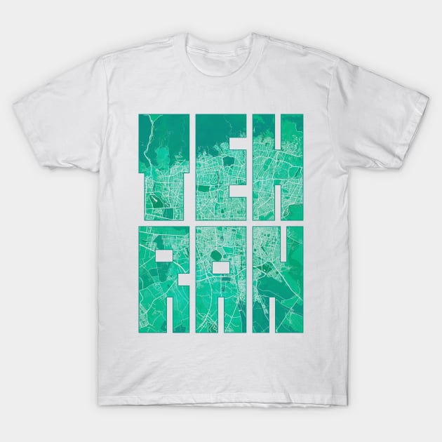 Tehran, Iran City Map Typography - Watercolor - Tehran - T-Shirt ...