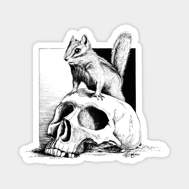 squirrel skull drawing