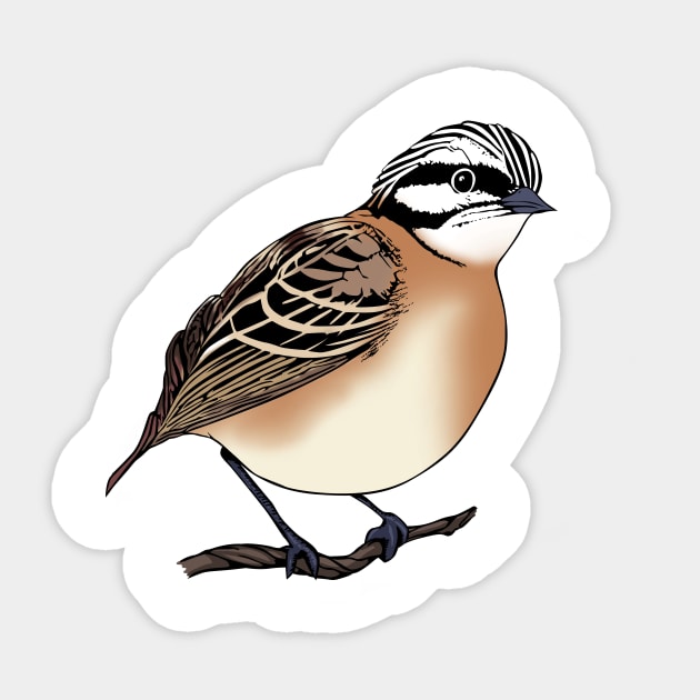 Fantail Bird Design - Fantail Bird Bird Bird Design - Sticker | TeePublic