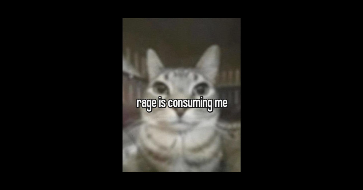 Rage Is Consuming Me Silly Staring Cat Meme - Rage Is Consuming Me ...