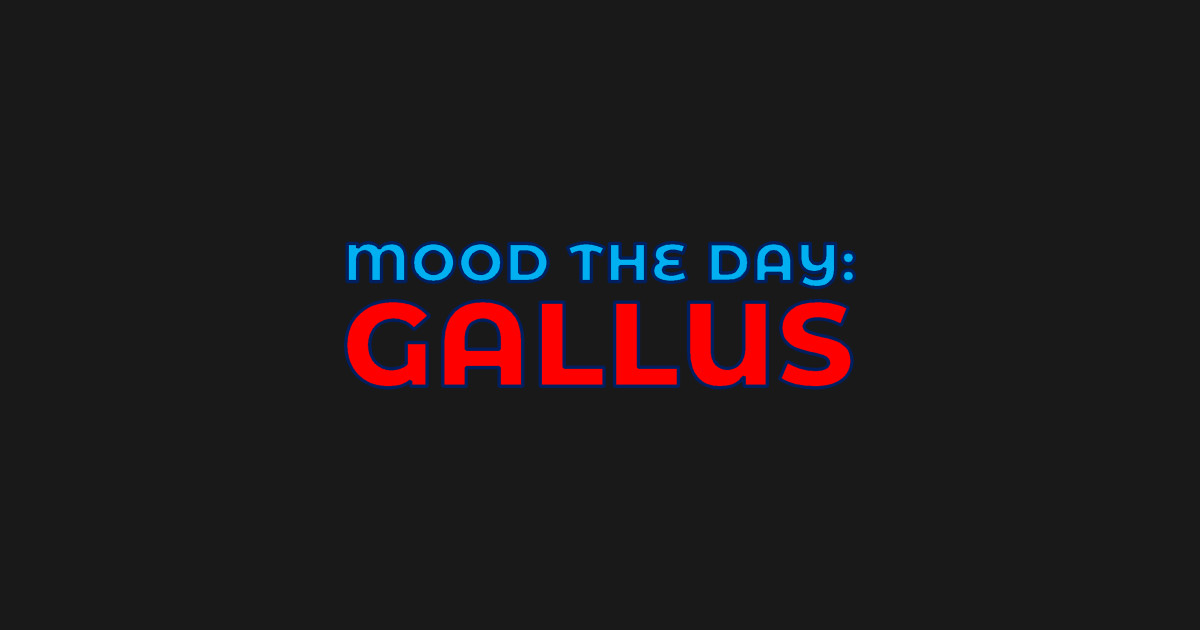 Scottish Humour - Mood The Day - Gallus - Scottish Humor - T-Shirt ...