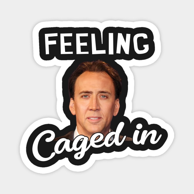 Nicolas Cage Meme Funny