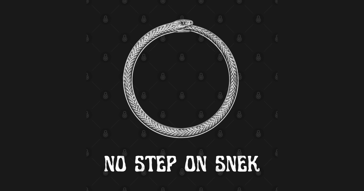 No Step On Snek - No Step On Snek - T-Shirt | TeePublic