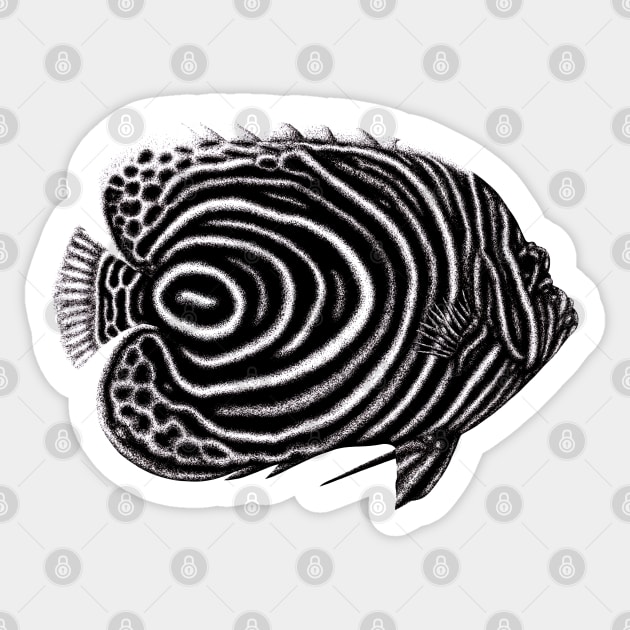 Emperor angelfish drawing - Angelfish - Sticker | TeePublic