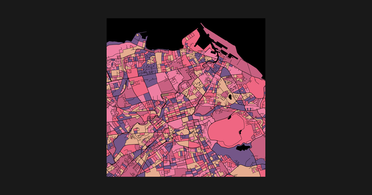 Edinburgh Map Pattern in Purple & Pink - Edinburgh Map - T-Shirt ...