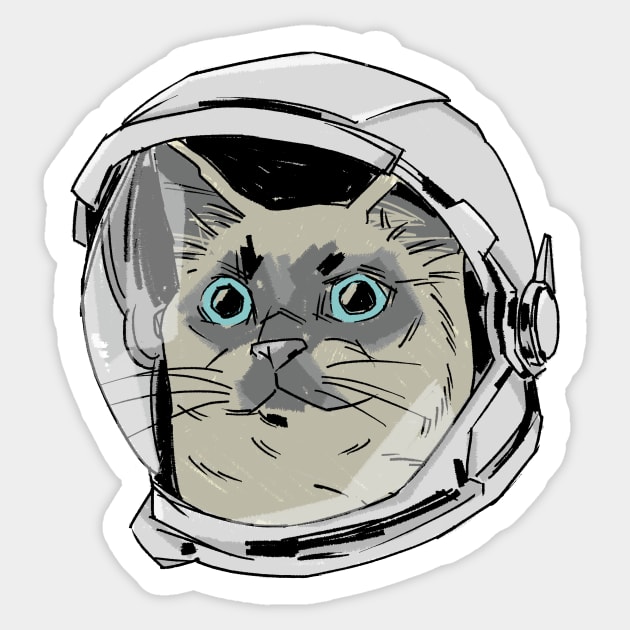 astronaut kitty