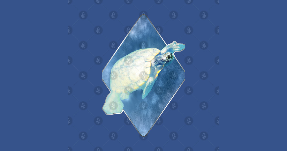Psychedelic Space Turtle - Digital Manipulation - T-Shirt | TeePublic