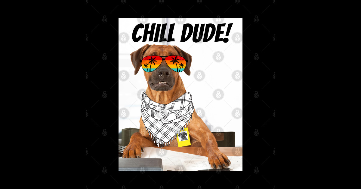 Chill Dude! - Chill Dude - Sticker | TeePublic