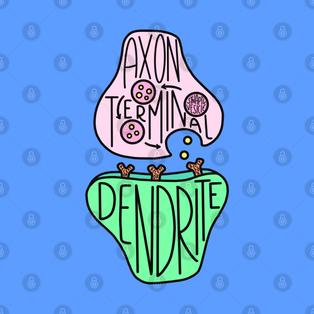 Hand Drawn Labeled Cute Neuron Synapse - Medicine - Phone Case | TeePublic