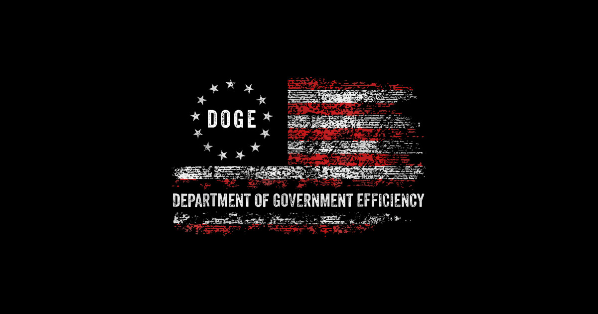 Doge Department Of Government Efficiency D O G E Us Flag - Doge ...