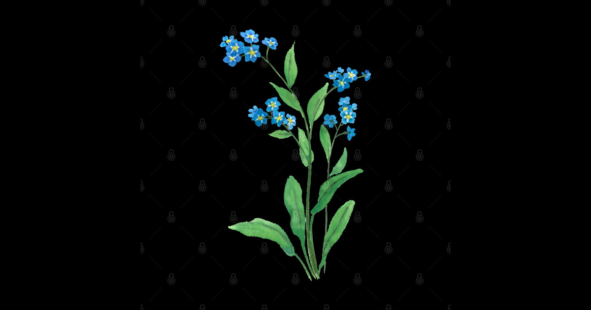 February 7th birthday flower - Birthday - Posters and Art Prints ...