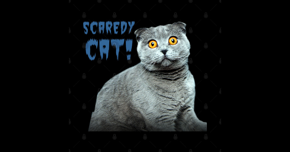 SCAREDY CAT - Scaredy Cat - Sticker | TeePublic