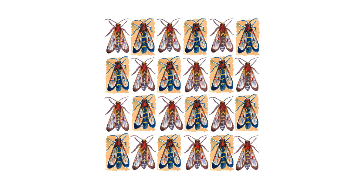 Wasp Moth Watercolor Grid - Moth - T-Shirt | TeePublic