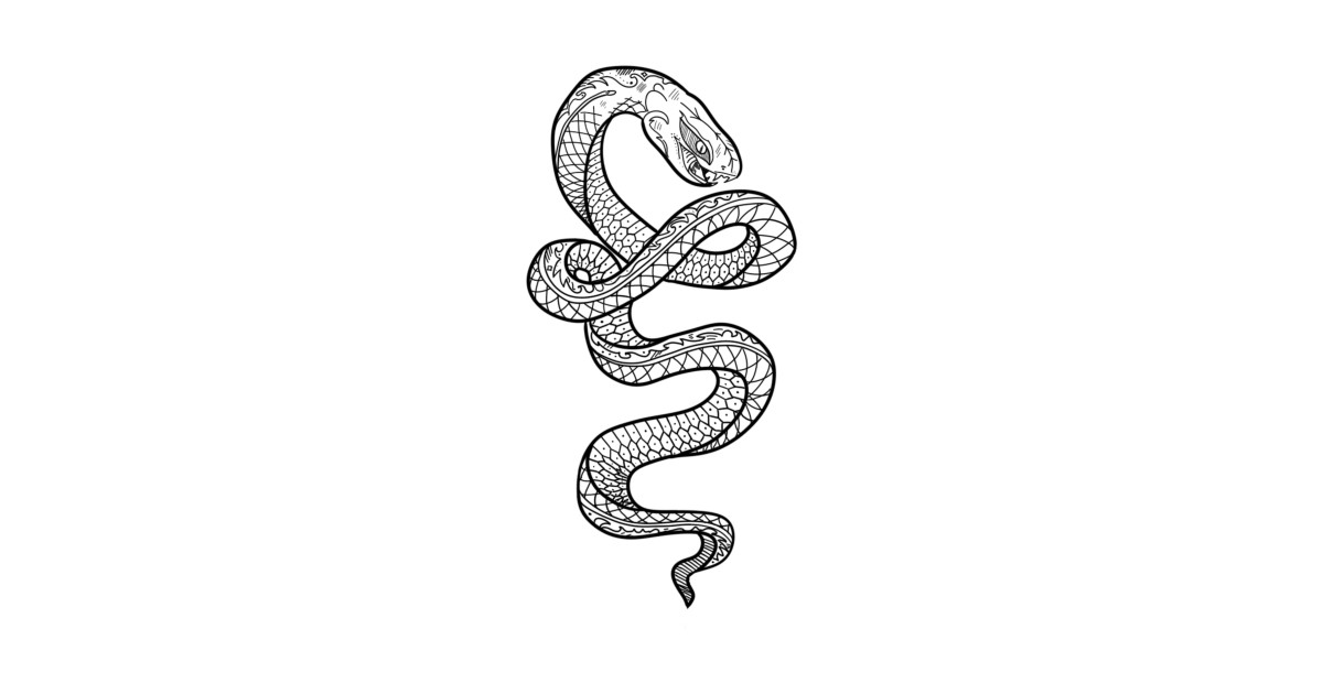 Drawing little snake / art little snake - Drawing Illustration Art ...