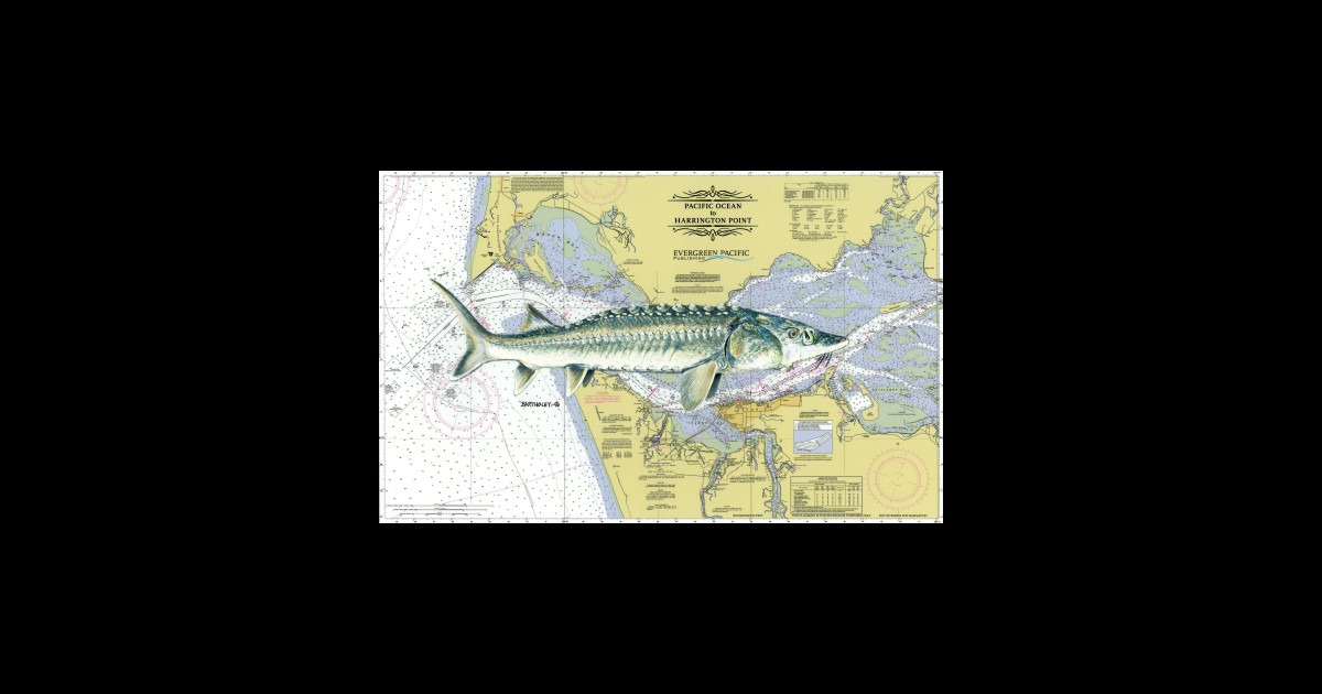 Sturgeon chart - Sturgeon - Posters and Art Prints | TeePublic