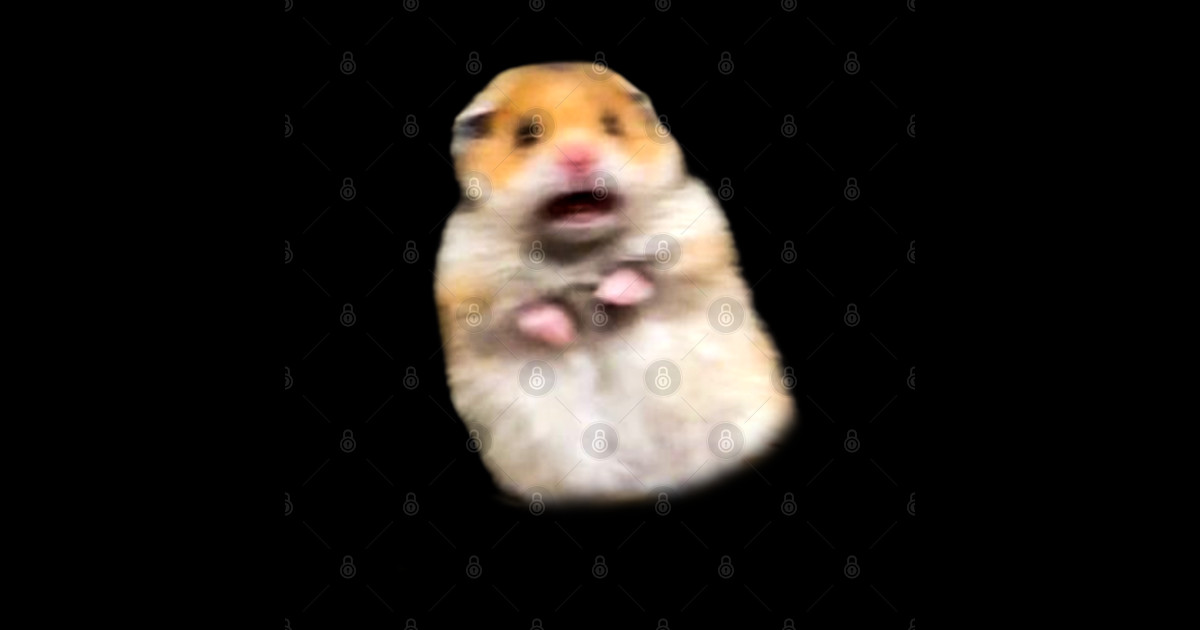 Scared Hamster Meme shirt, Funny Tshirt, Meme Gifts - Scared Hamster ...
