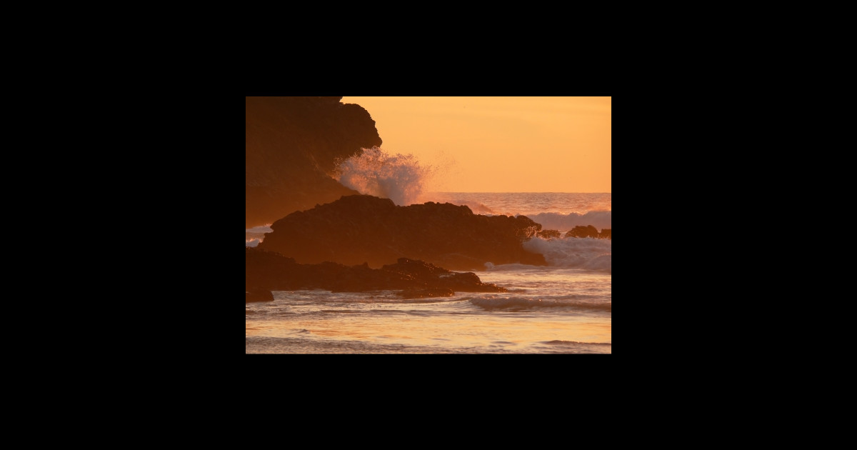 feel.... - Ocean - Sticker | TeePublic