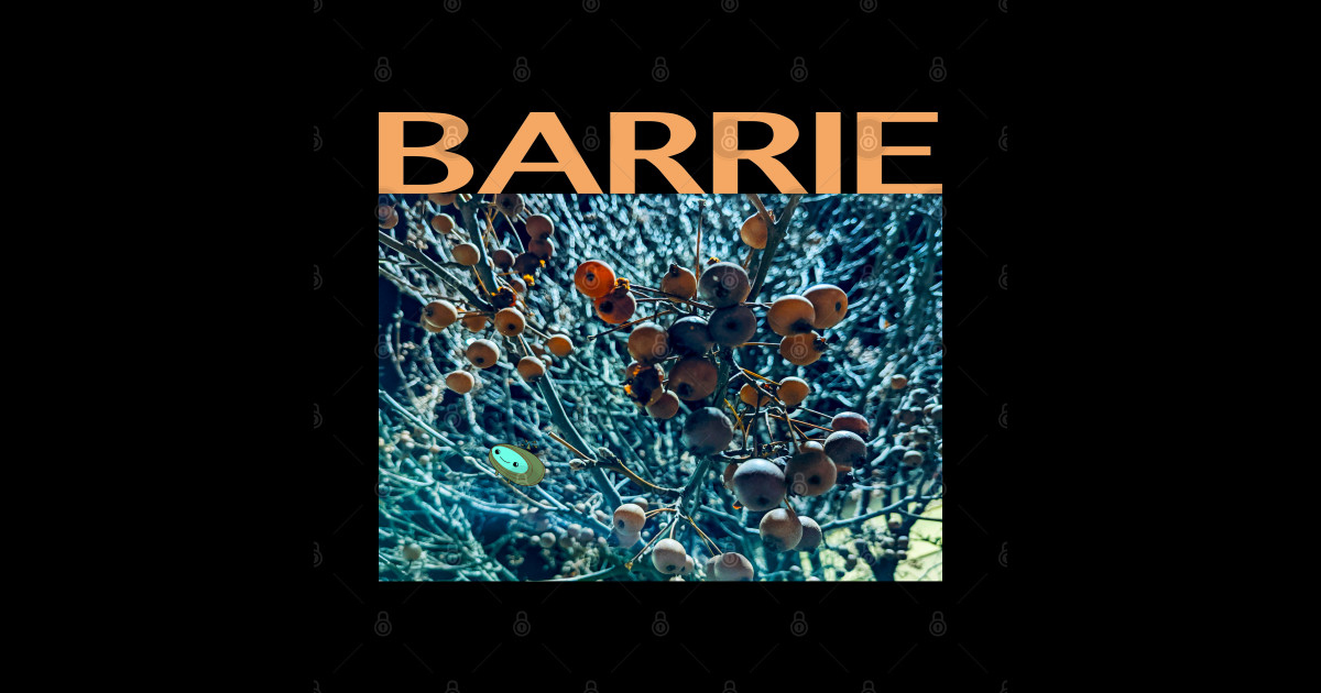 Barrie band fan - Barrie Band - Sticker | TeePublic