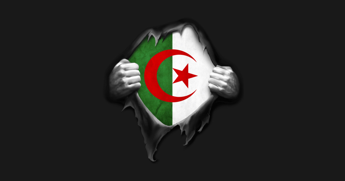 Algeria Flag Algerian Roots DNA Pride Gift - Algeria Flag - T-Shirt ...