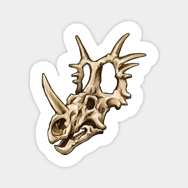 Dinosaur Skull Styracosaurus Sticker - Styracosaurus - Magnet | TeePublic