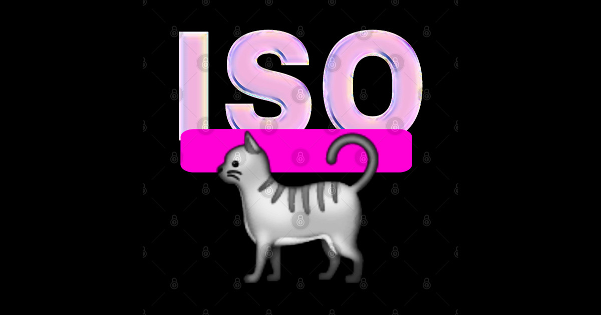 ISO Cat - Pink Banner - Front - Iso Cat - Sticker | TeePublic