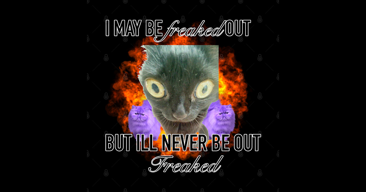 Funny Cat freaky meme - cute kitty - Funny Cats - Sticker | TeePublic
