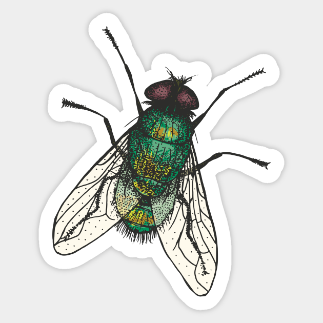 The Fly - Fly - Sticker | TeePublic