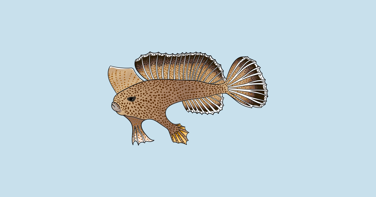 Handfish cartoon illustration - Handfish Cartoon Illustration - T-Shirt ...