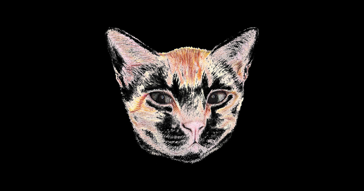 Side eye cat coloured pencils drawing - Side Eye - Sticker | TeePublic