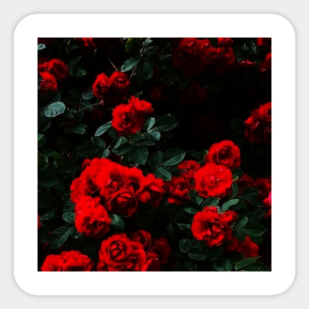 Rose - aesthetic box art - Rose - Sticker | TeePublic