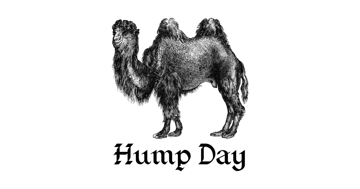 Hump Day - Hump Day - T-Shirt | TeePublic