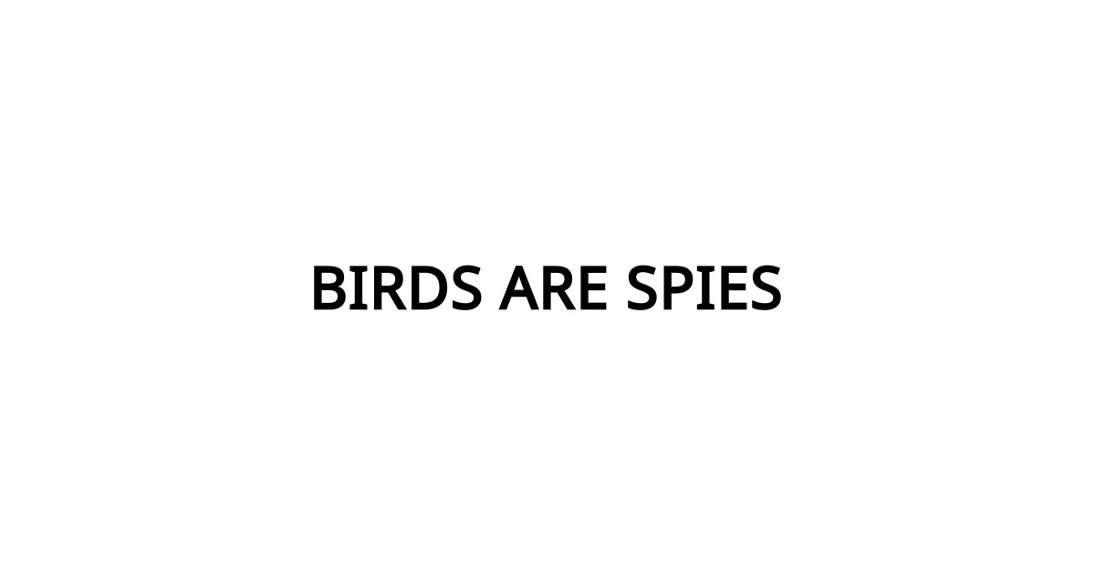 Birds are Spies - Birds Are Spies - T-Shirt | TeePublic