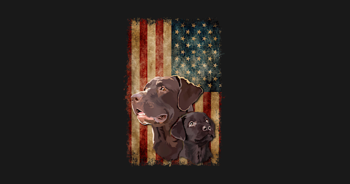 Chocolate Lab With USA Flag Chocolate Lab Dad Mom - Chocolate Lab Dad ...