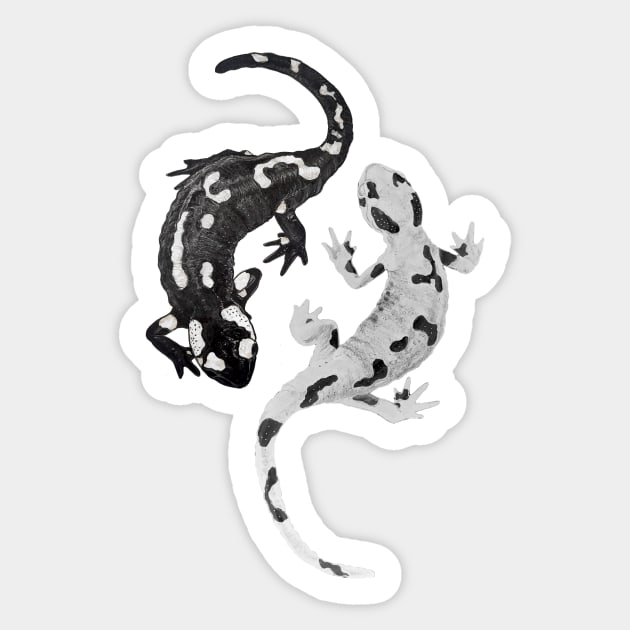 Two salamanders - Salamander - Sticker | TeePublic