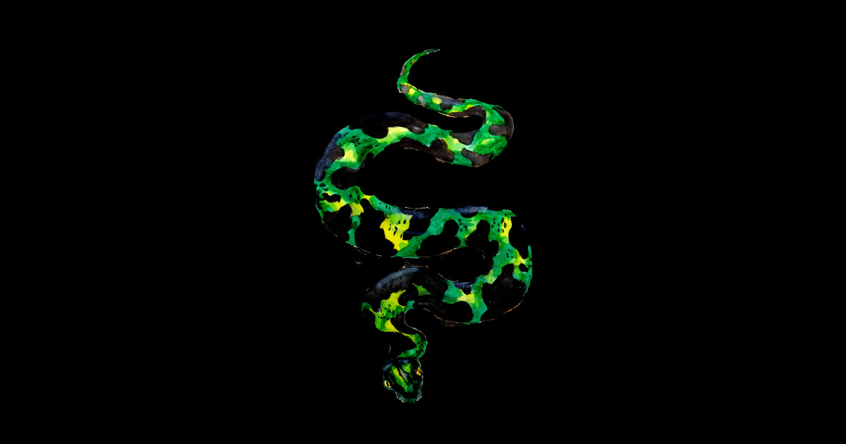 Green Snake - Green Snake - Sticker | TeePublic