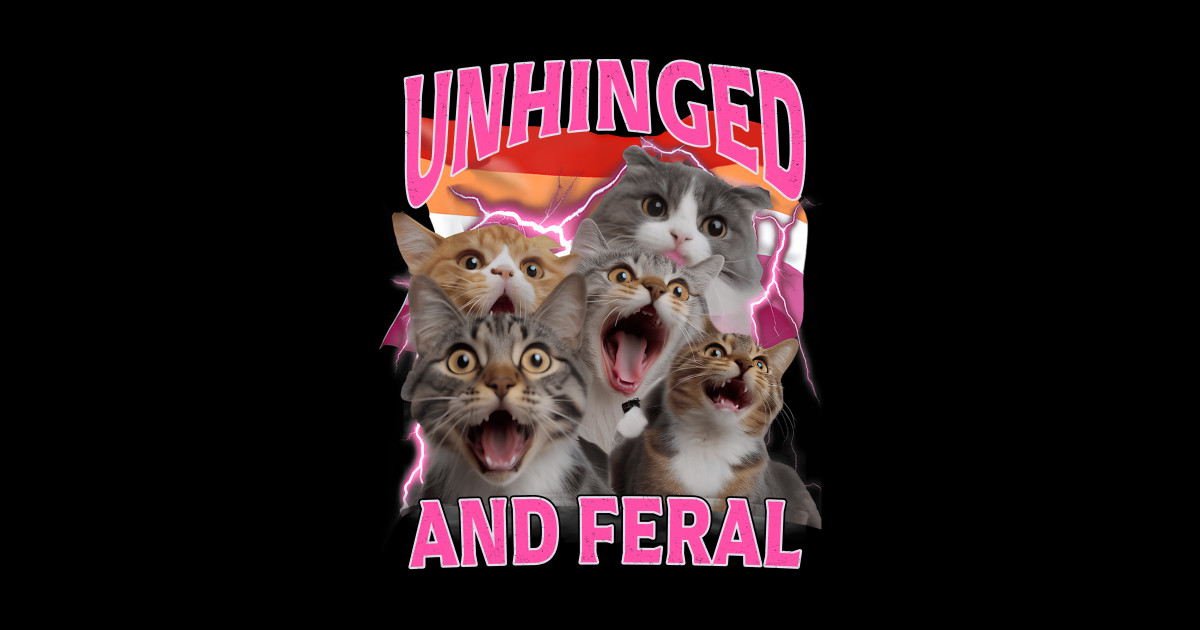 Unhinged And Feral Funny Cat Meme For Men Women - Unhinged And Feral ...