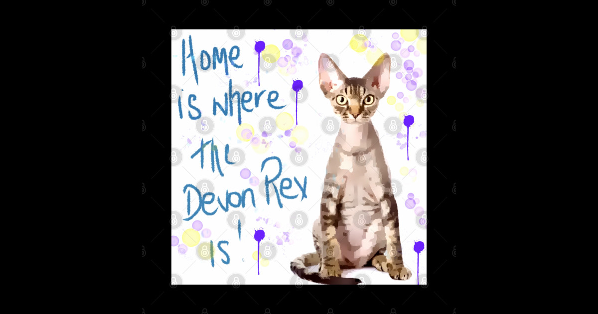 Home is where the Devon Rex is! - Sticker - Sticker | TeePublic