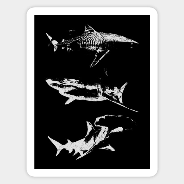 Sharks Grunge Aesthetic - Sharks - Sticker | TeePublic