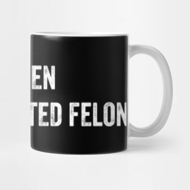 Joe Biden Vs Convicted Felon - Ballot Paper Voting For Trump - Ballot ...