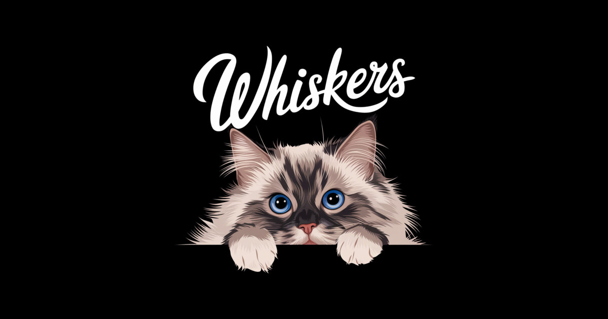 Ragdoll Cat with Blue Eyes - Cute Whiskers Peekaboo - Ragdoll Cat ...