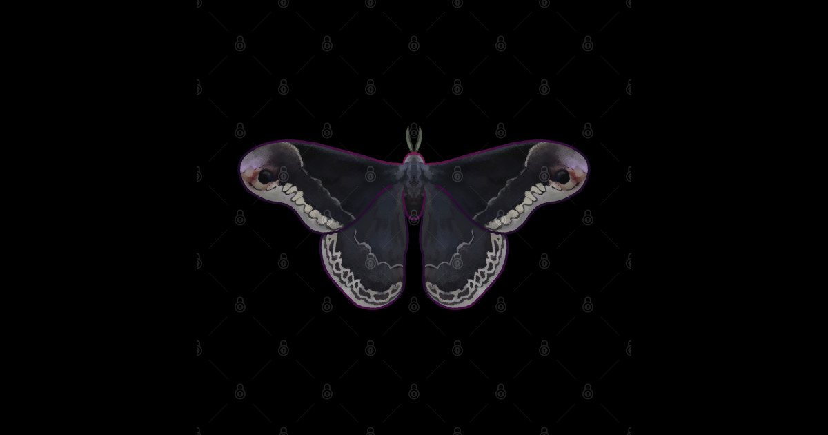 Goth Moth Promethea Moth Repeating Pattern - Goth - Posters and Art ...