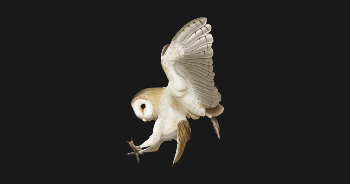 Catching Prey - Barn Owl - T-Shirt | TeePublic
