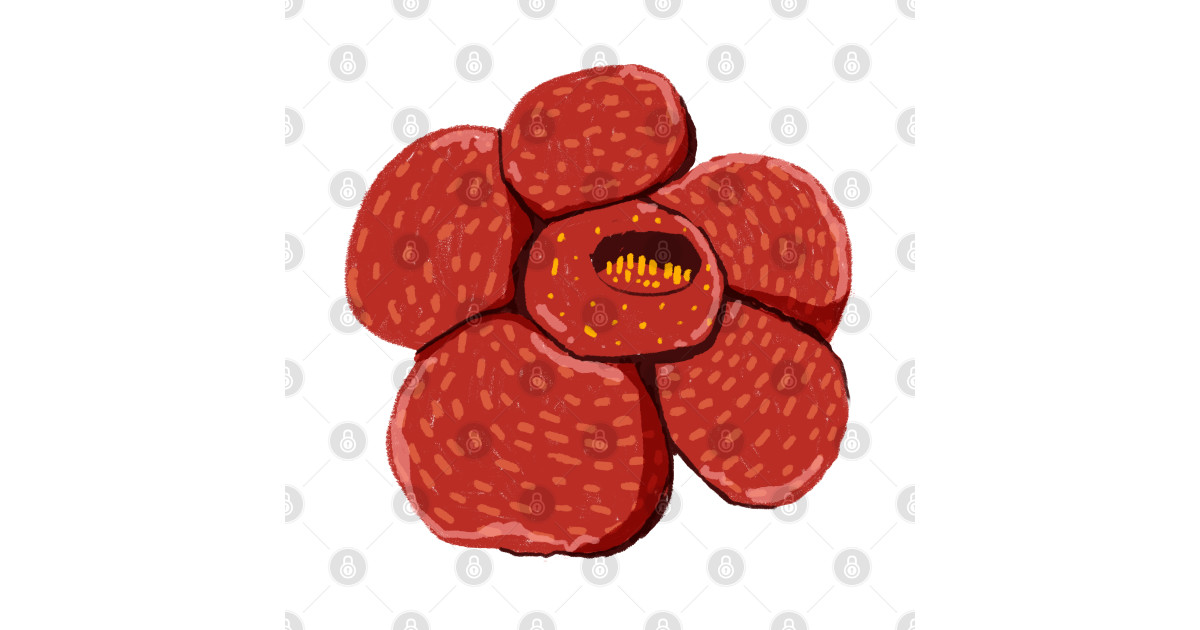 Stylized Rafflesia Arnoldii Illustration – Unique Indonesian Floral Art ...