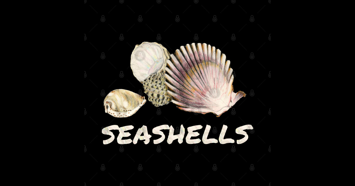3 Seashells - Shell - Sticker | TeePublic